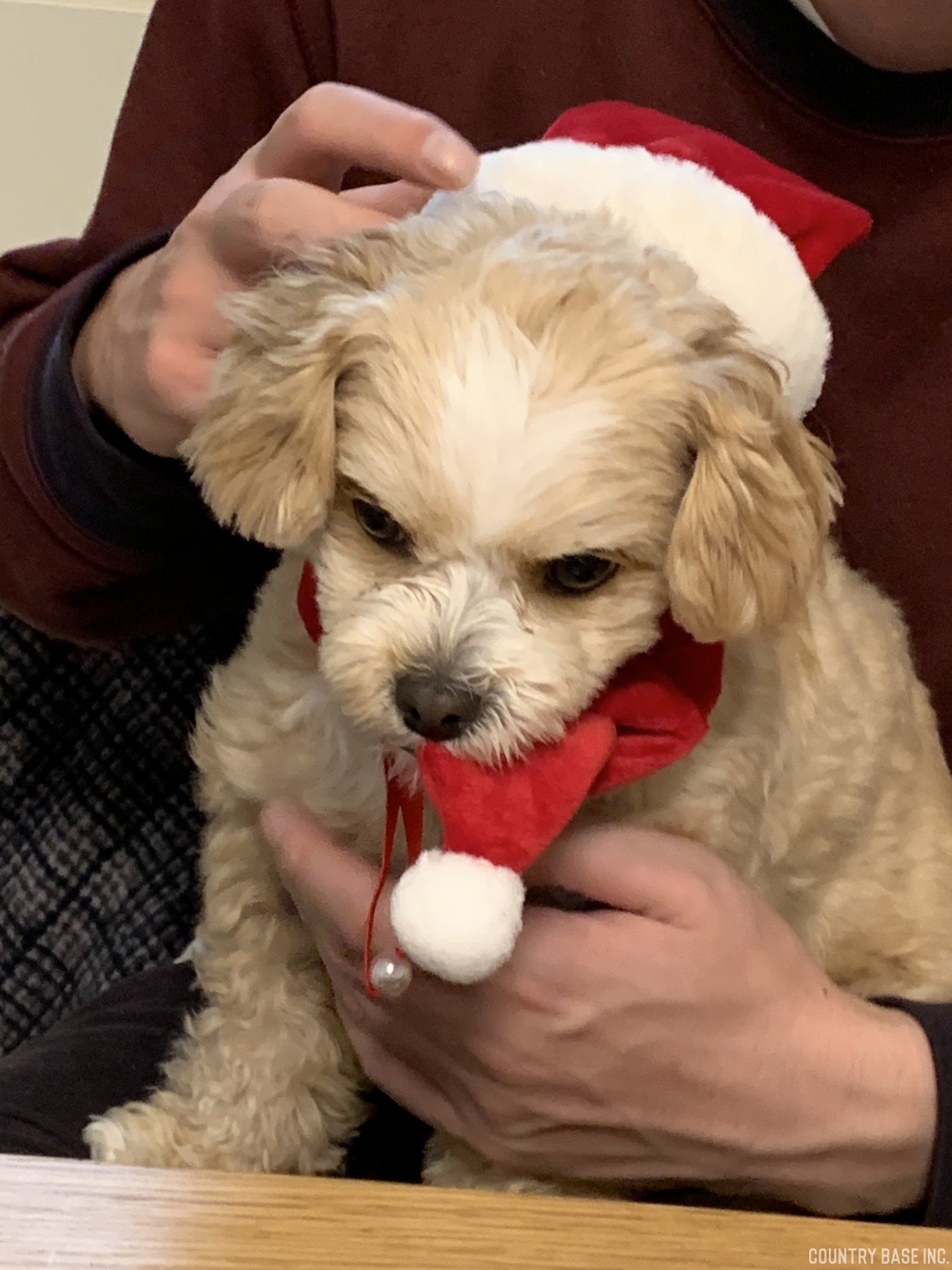 アイドル撮影会 - COUNTRY BASE